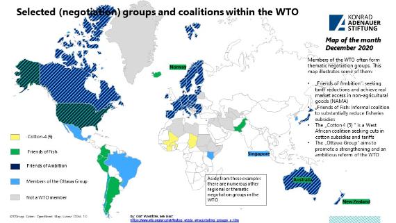 Groups and Alliances in the World Trade Organization (WTO ...