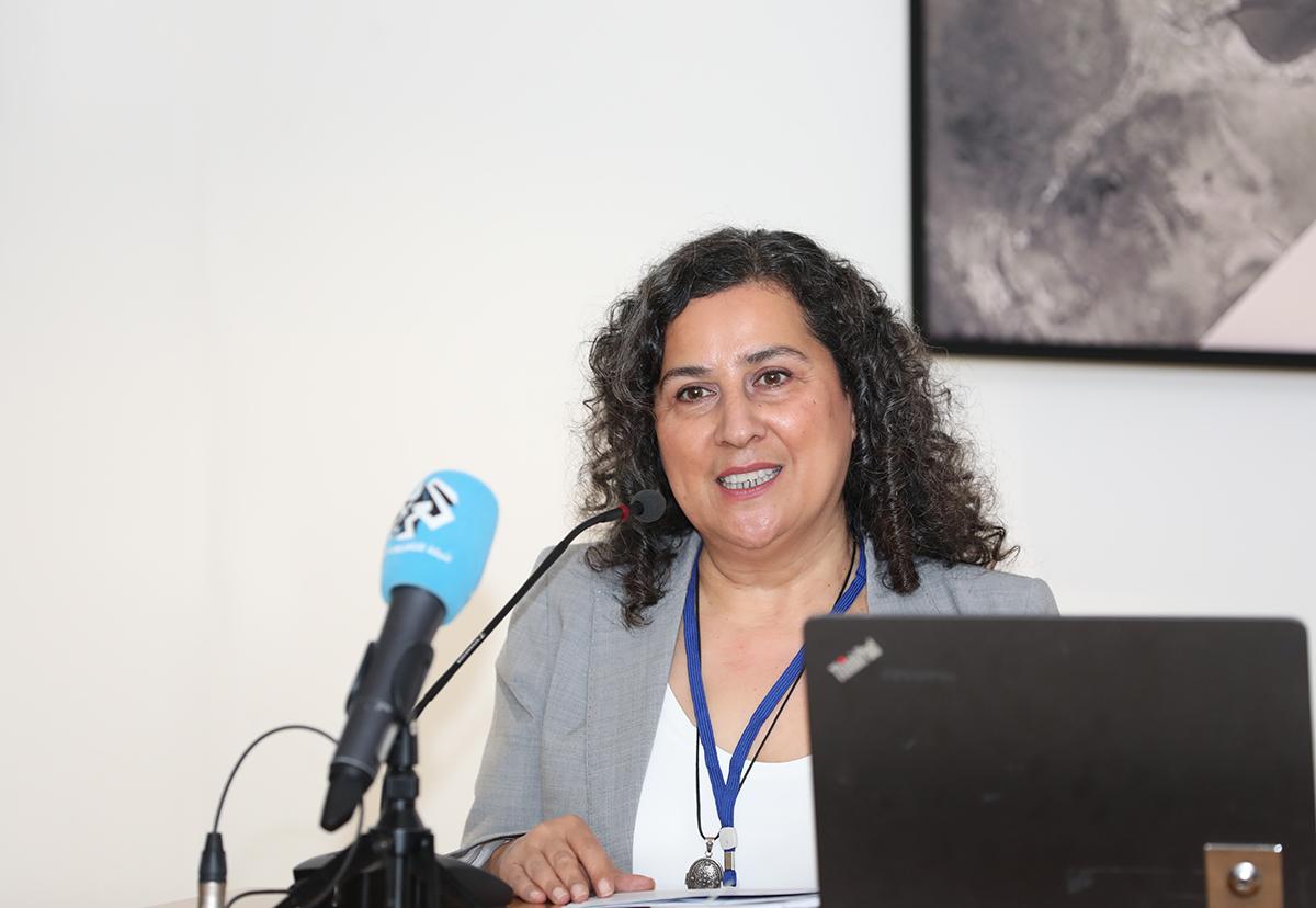 Economic Diversification in the Gulf States - Regional Programme Gulf ...