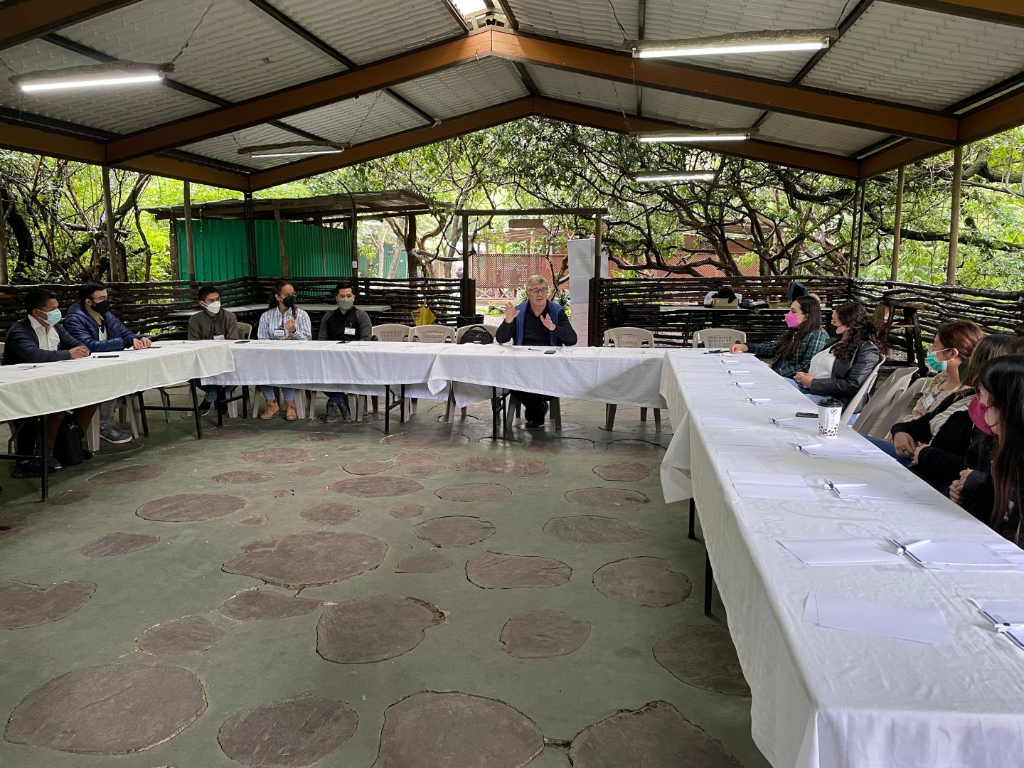 Traumbaum - Auslandsbüro Guatemala und Honduras - Konrad-Adenauer-Stiftung