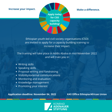 Increase your Impact. How to Make a Difference? - Auslandsbüro ...