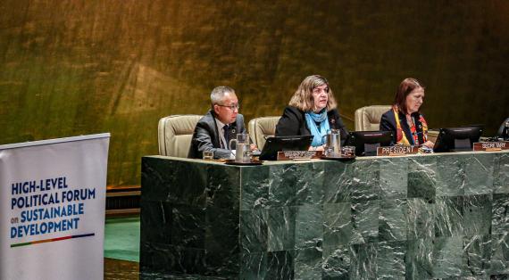 High-Level Political Forum on Sustainable Development 2023 – a blueprint for the SDG Summit ...