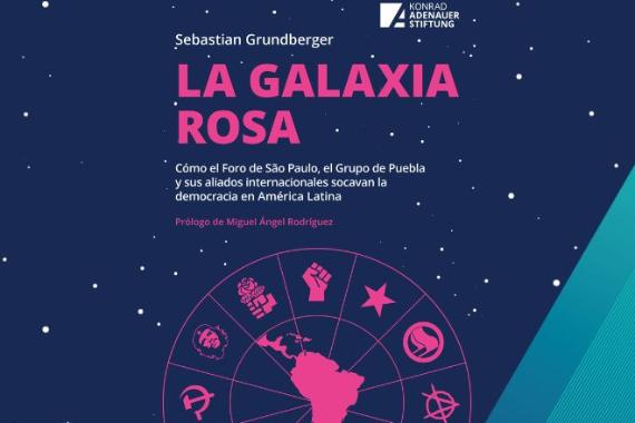 La Galaxia Rosa - Programa Regional Partidos Políticos y Democracia en ...