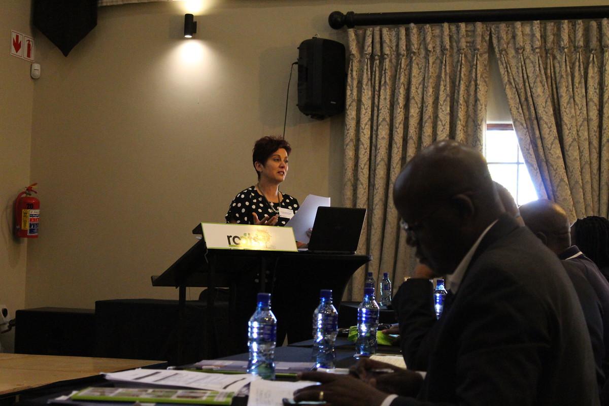 Traditional Leadership and Authority versus Local Government ...